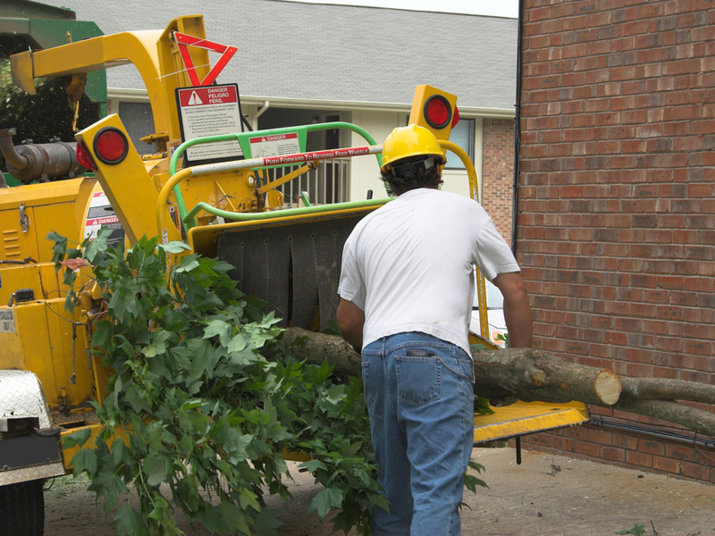 Tree Removal | Tyler, TX | M. A. Garcia Tree Service Inc. Tree Removal | Tyler, TX | M. A. Garcia Tree Service Inc.